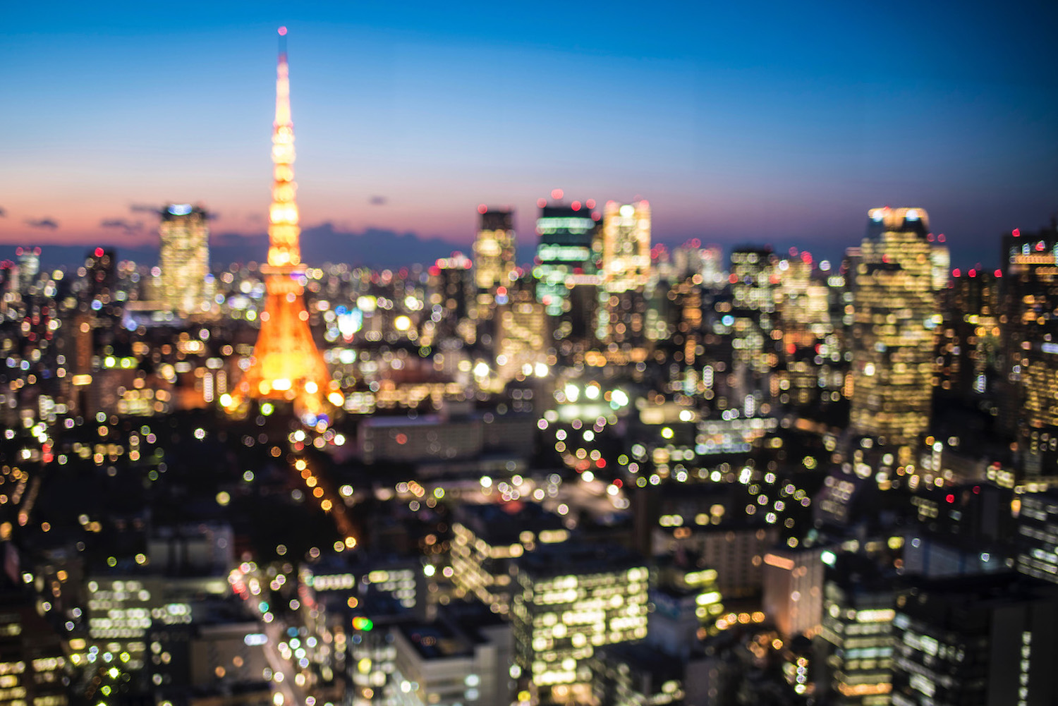 Should You Visit Seoul or Tokyo (or Both)?